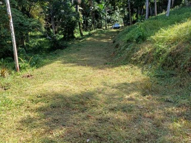 ÓTIMA FAZENDA A VENDA