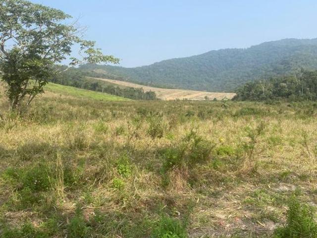 ÓTIMA FAZENDA A VENDA EM PARIQUERA AÇU