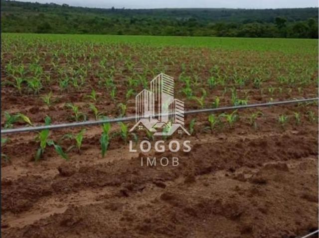 Ótima fazenda com 244 hectares em João Pinheiro MG 02