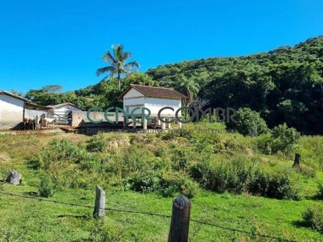 Ótima Fazenda de 157,04 ha em esmeradas a 40 Km de BH