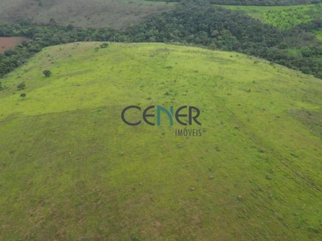 ÓTIMA FAZENDA DE 139 HA COM DUPLA APTIDÃO