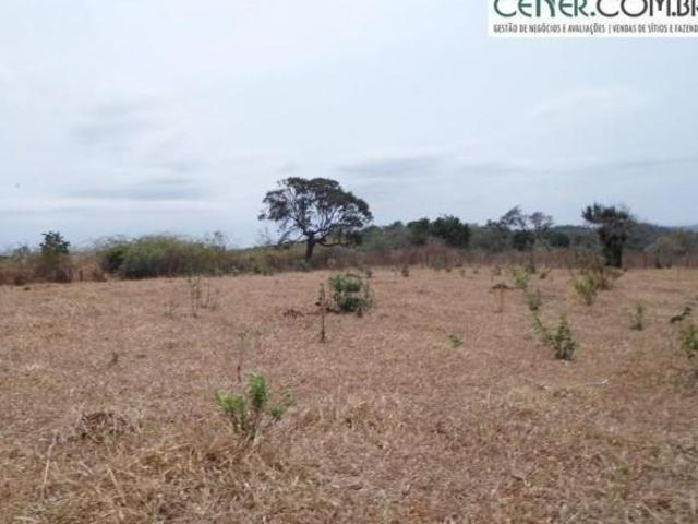 Ótima Fazenda de 251 ha em Santa Luzia a 47 Km do Centro de BH