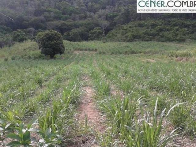 Ótima Fazenda de 295 ha com Ótima estrutura para pecuária