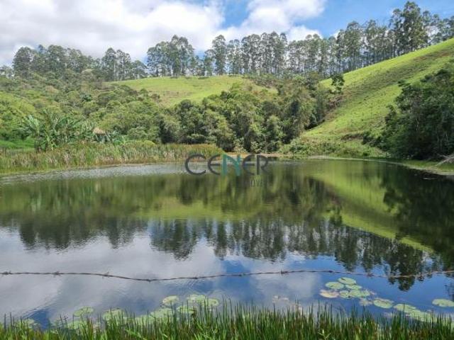 ÓTIMA FAZENDA DE 200 HA PRONTA PARA PECUÁRIA