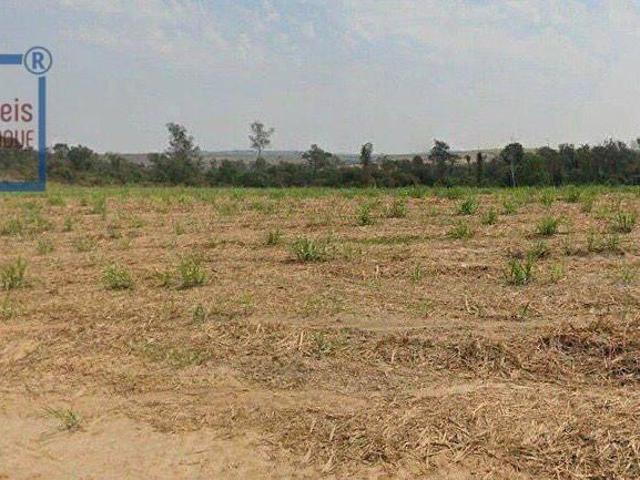 Ótima fazenda em cana a venda na região de Porto feliz