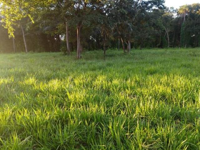 ÓTIMA FAZENDA PARA PECUÁRIA EM SÃO JOÃO D&apos ALIANÇA