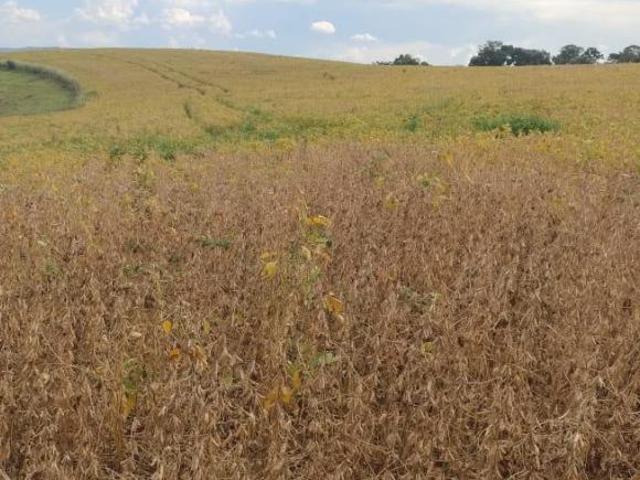 Ótima fazenda para plantio