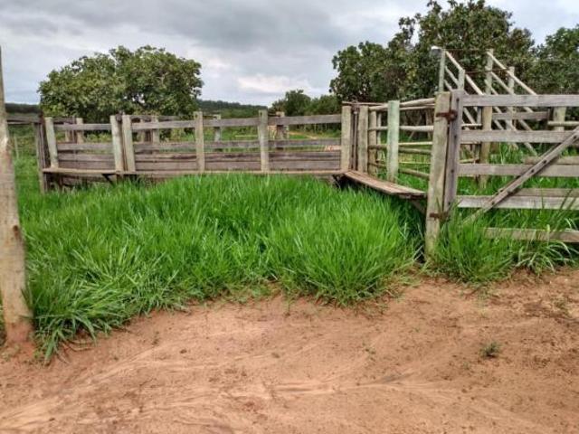 Ótima Fazenda 120 hectares c/ estrutura pronta para produção de carvão vegetal na região de Abaeté/M