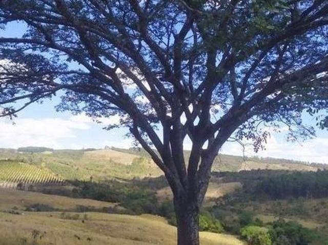 Ótima Fazendinha de 16,5 ha em Belo Vale/Jeceaba