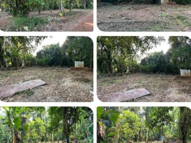 Ótima localização terreno de 520 m² de esquina lado praia, com licenciamento ambiental em fase final