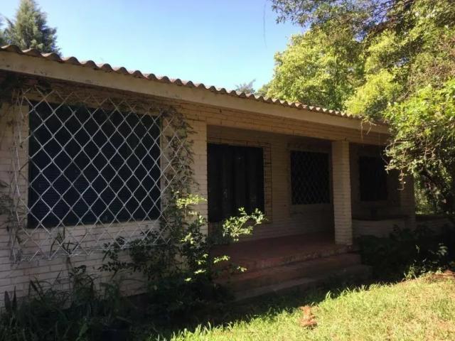 Ótima morada com figueira e casa ampla