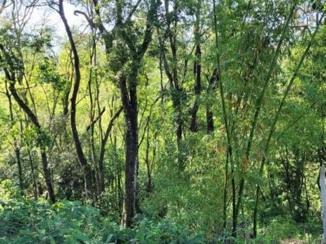 Ótima oportunidade! Chácara a venda na cidade de Pedra Bela, interior de São Paulo, com 4.850 m² de