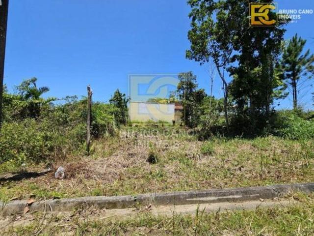 Ótima Oportunidade em Peruíbe – Terreno com 250m² em Bairro Tranquilo