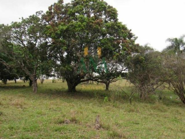 Ótima propriedade com 34 alqueires