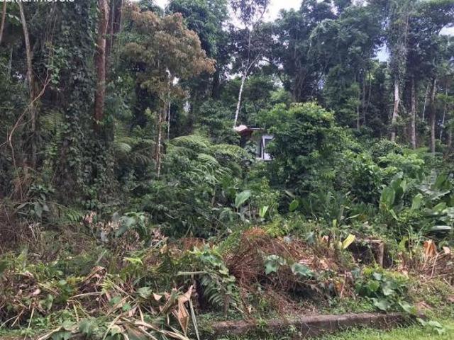 Ótimo terreno a venda no condominio de Itamambuca, em Ubatuba