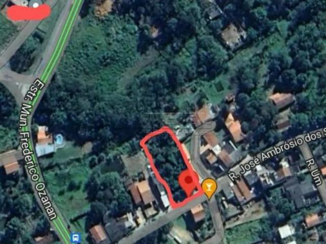 OTIMO TERRENO COM ÁRVORES FRUTÍFERAS