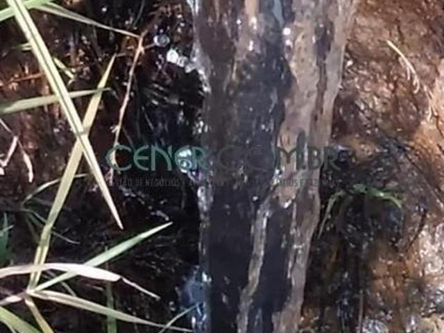 Ótimo Terreno de 22,5 ha em Moeda MG com Sede Simples