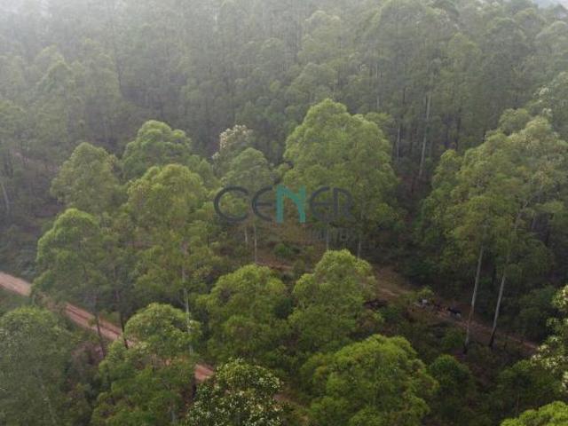 Ótimo terreno de 30 ha para sitio, lavouras, industria ótima logistica