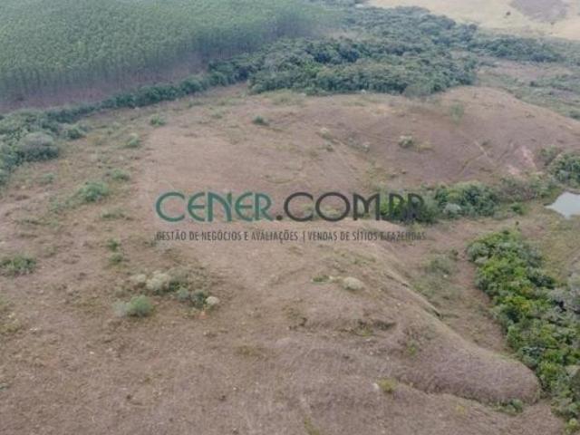 Ótimo Terreno de 41 ha para Lavoura ou Fazenda de pecuária em Barroso MG