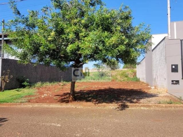 TERRENO PRÓXIMO AO SUPER MUFFATO _ IBIPORÃ