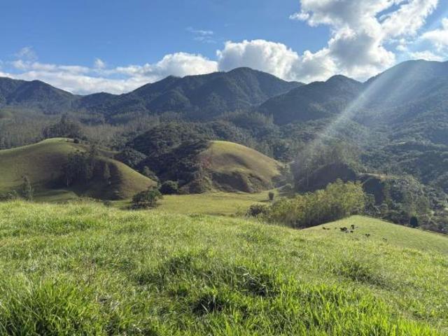 Ótimo Terreno para Investimento em Localização Privilegiada