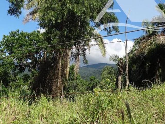 Ótimo terreno Piúva Ilhabela,5400 m² p da balsa,topografia em declive para os fundos, vocação para