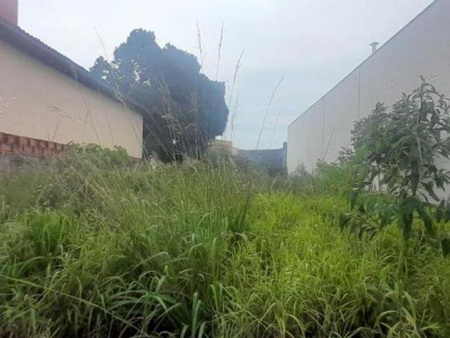 Ótimo Terreno Vila Gilda Santo Andre