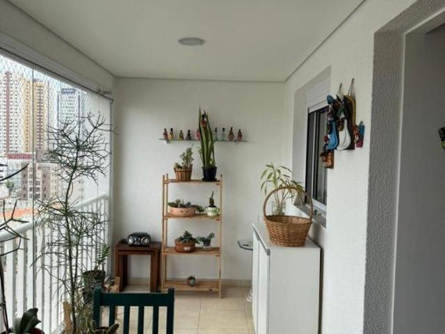 Ótimo apartamento residencial à venda com 3 dormitórios, 1 suíte e 2 vagas de garagem, Cambuci, São