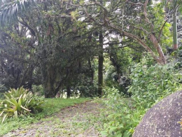 Ótimo lote de 500 m² em Condomínio Fechado, murado e aterrado !