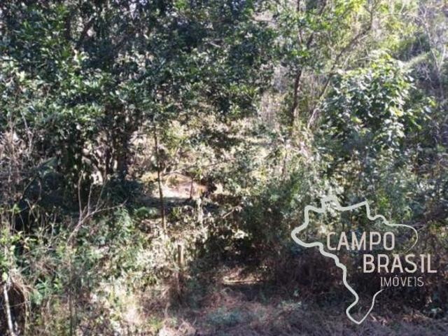 ÓTIMO SÍTIO 43 HECTARES EM SÃO FRANCISCO XAVIER!