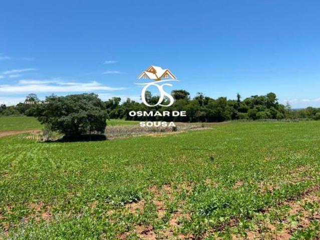 Ótimo Sítio de 09 Alqueires em Cesário Lange SP, com terra vermelha
