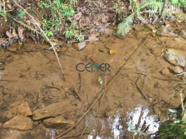 Ótimo sítio de 20 ha em Entre Rios de Minas MG