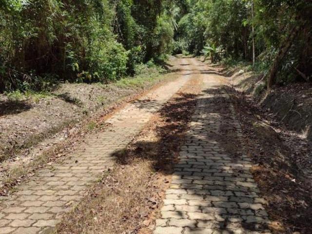 ÓTIMO SITIO DE PALMITO A VENDA NO VALE DO RIBEIRA