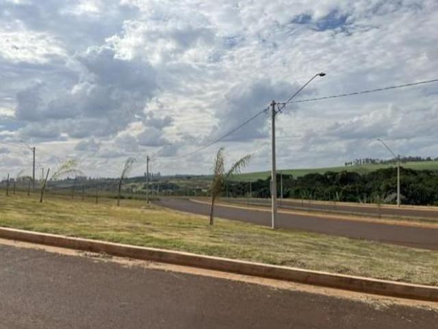 Otimos lotes no Belvedere Laranjeiras | Aqui na Rosa e Rangel