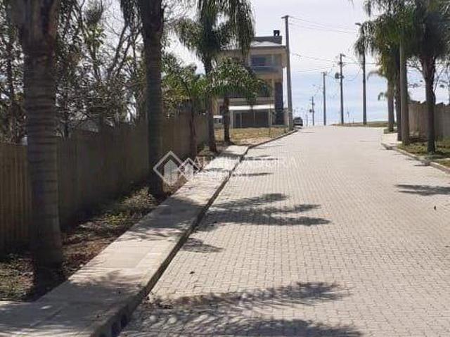 Ótimos lotes / terrenos!