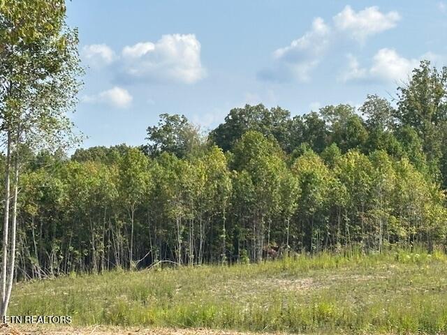 Otis Davis Rd, Pikeville, TN 37367