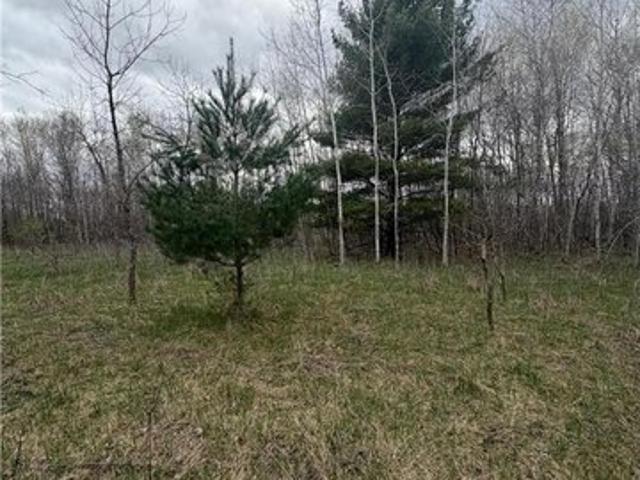 Ottawa, Browerville, MN 56438