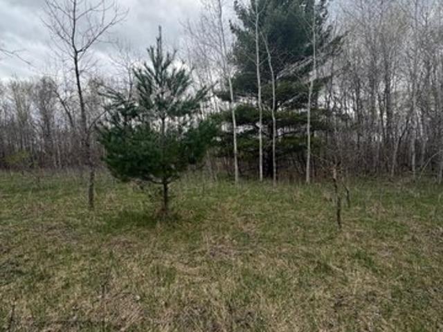 Ottawa, Browerville, MN 56438