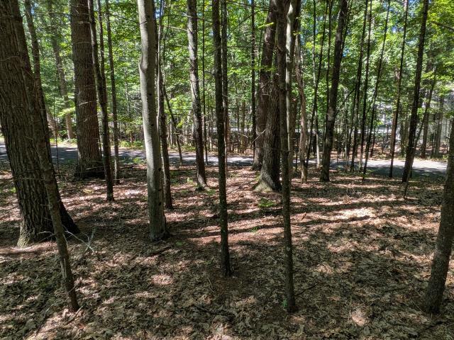 Ottawa Lane # Lot 50