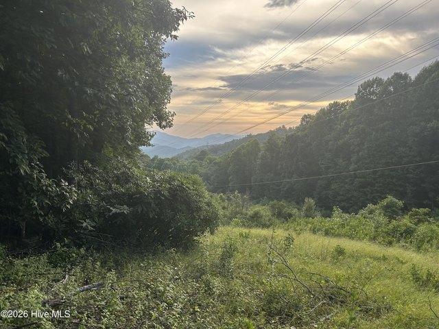 Otter Creek Rd, Topton, NC 28781
