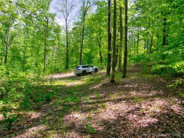 Otterbein Road