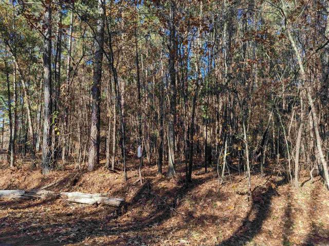 Ouachita 387 Road