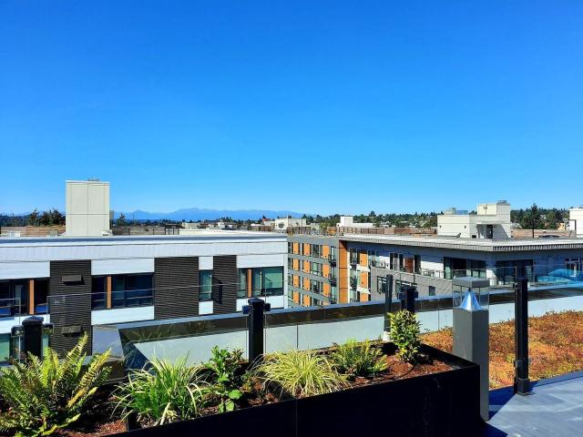 Our Newest Luxury Studios in Ballard! Studio Apartment for Rent at 5512 17th Ave Nw, Seattle, WA 98107 Adams