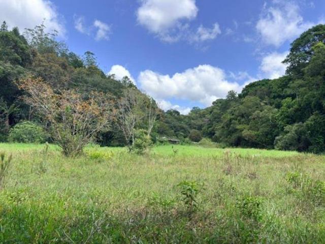 Ouro Natural: Sítio de 10,8 Hectares com Margem para o Ribeirão Grande