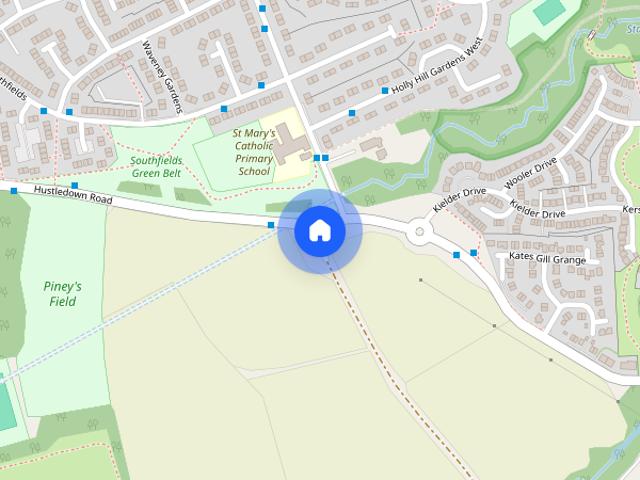Ousterley Woods, Stanley, County Durham, DH9