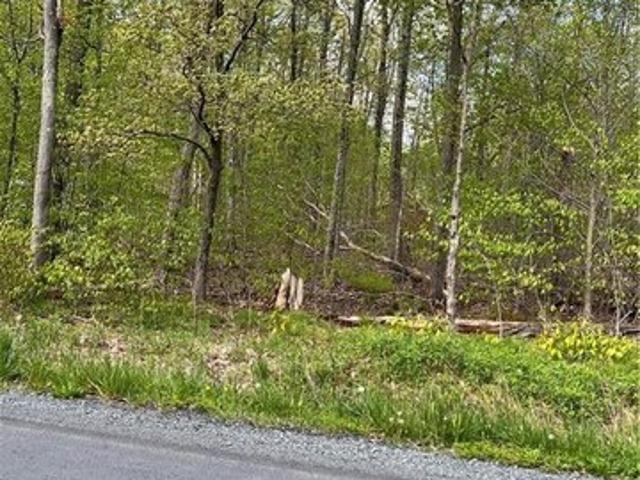 Outer Dr Unit 18, Coolbaugh Township, PA 18347