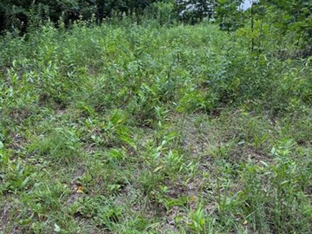 Outlook Rd, Murphy, NC 28906