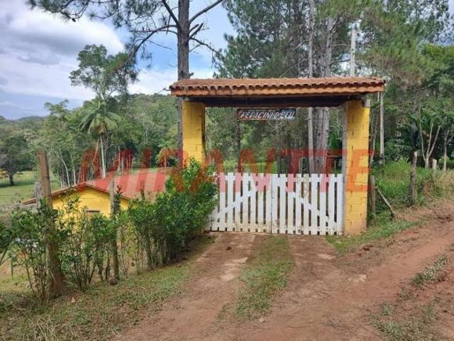Outros de 380m² com 4 quartos