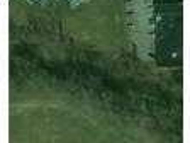 Over 730 sf in Honeoye. Pet OK!