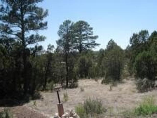 Overgaard, AZ 85933